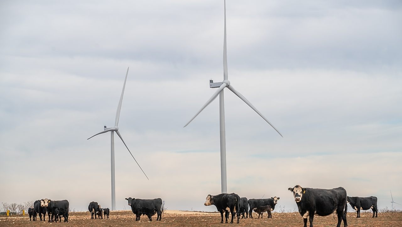 Harnessing Wind in West Texas | About Us