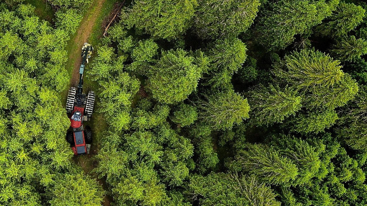 Shell PANOLIN – Biodegradable Oils | Business